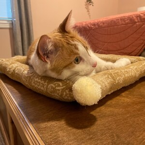 Custom Cat Toy Bundle - Etsy