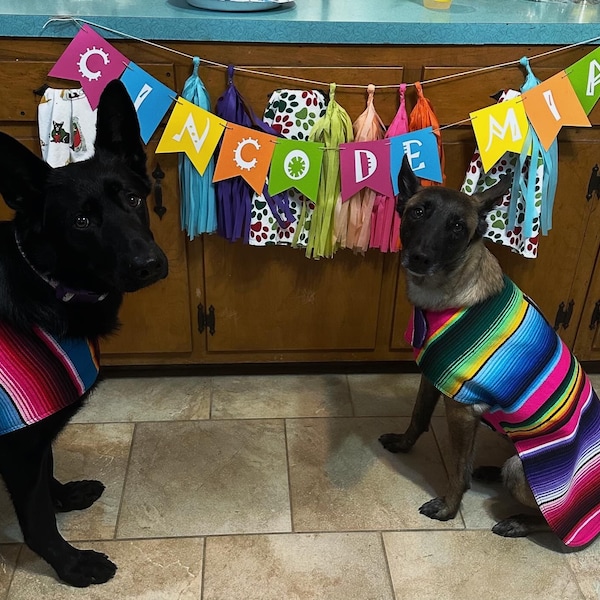 Dog Clothes - Pink Handmade Dog Apparel From Authentic Mexican Blanket ...
