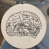 DIY Brain Embroidery Pattern, Brain Anatomy Embroidery Pattern ...