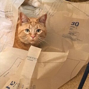 1960s Vintage Misses and Petites Dress Sewing Pattern Simplicity 8591 ...