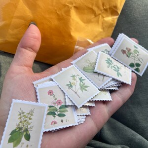 5 Vellum Paper & Sticker Sets | Etsy