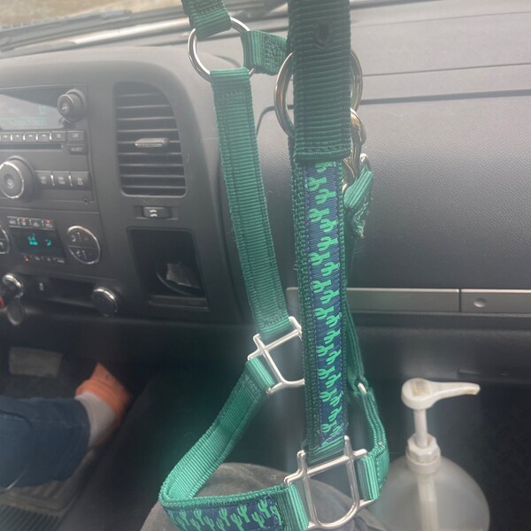 Custom Horse Halters Glitter, Diamonds, Sparkle, Designer - Etsy