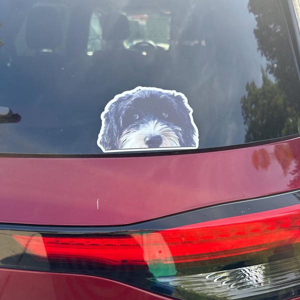 Realistic Gray Husky Sticker Decal / Peeking Siberian Husky Face Window ...