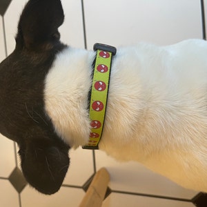 Biothane Tab or Bringsel Pick Your Color 1/2 Wide Heavy Weight, 8 Long ...