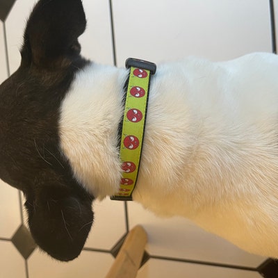 Biothane Tab or Bringsel Pick Your Color 1/2 Wide Heavy Weight, 8 Long ...