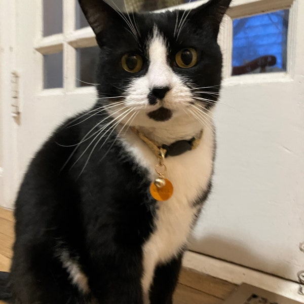 Cat Tag, Leather Tag, Silent ID Tag, Personalized Cat Tag, Small Dog ...