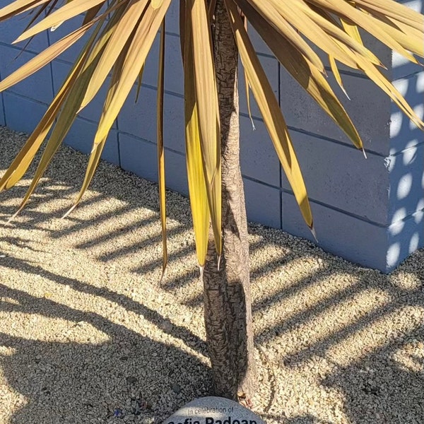 Engraved Recognition Paver | Memorial Paver | Building Marker Paver ...