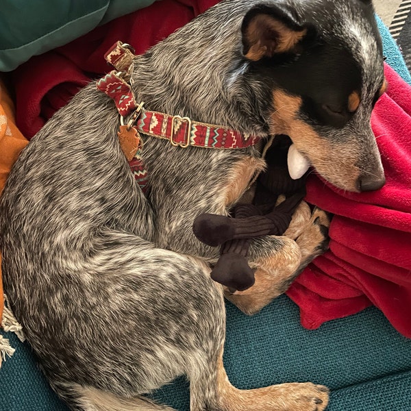 Red Southwest Aztec Dog Collar, Harness or Leash With Personalized ...