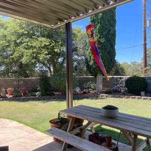 Cactus and Gekko Windsock 6 Ft Ripstop Nylon Spinnaker Cloth - Etsy