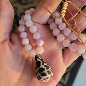 Aloha Chic: Stainless Steel Limpet Opihi Seashell Necklace - Etsy