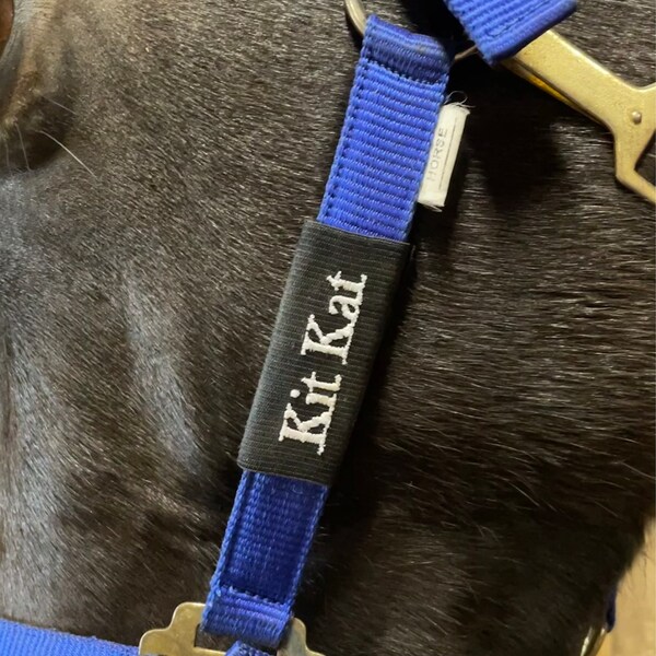 SMALL/MEDIUM Embroidered Halter Sleeves, Custom Horse Halter Name Tag ...