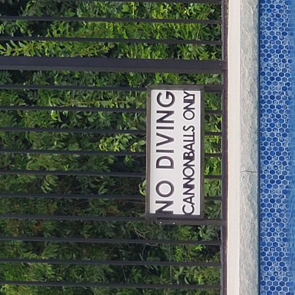 Pool Signs, Pool Rules, Shallow Water, No Diving Sign, Pool Decor ...