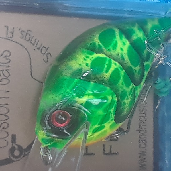 Mardi Craw Custom Painted Crankbait Fishing Lure. Bass Fishing Lures ...