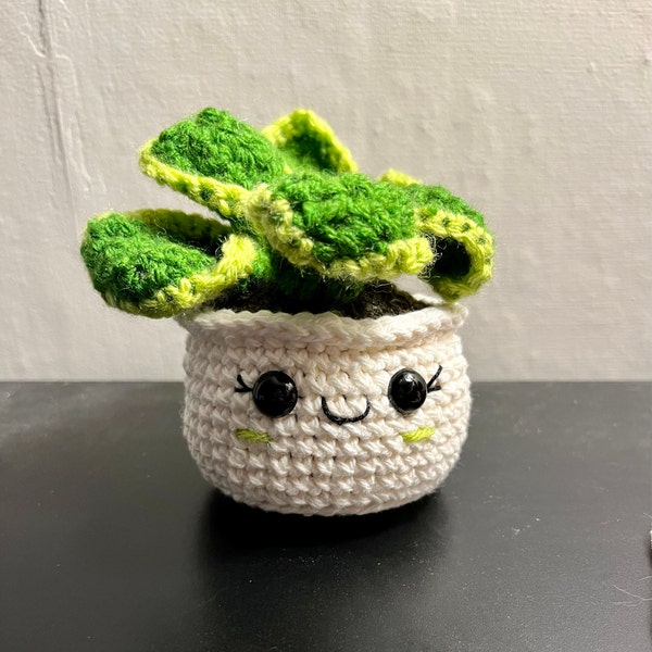 Dwarf Snake Plant Crochet Pattern - Etsy