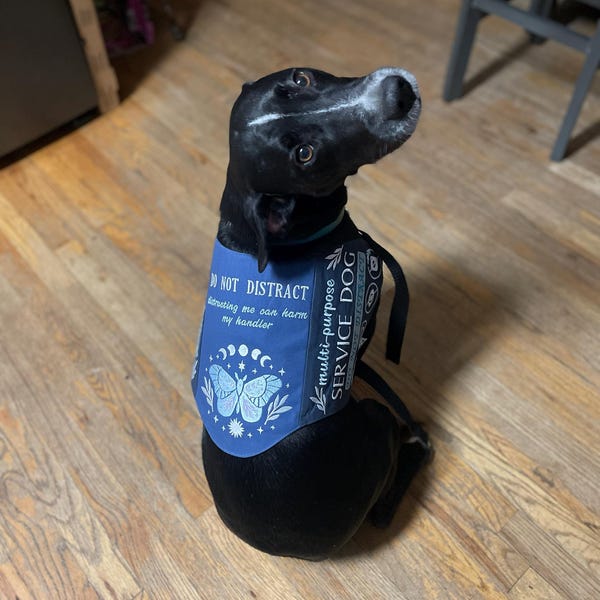 Dog Leash Wrap, Dog Leash Sleeve, Dog Leash, Dog Gear, Custom ...