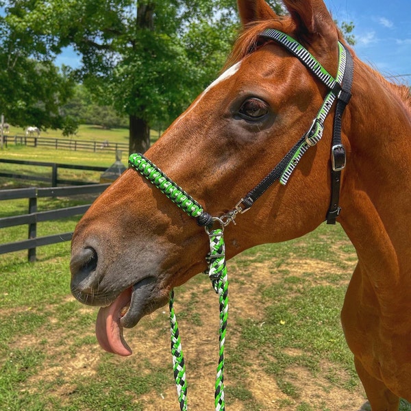 Split Reins Paracord Reins Round Gaucho Braid Quick Change Reins Easy ...