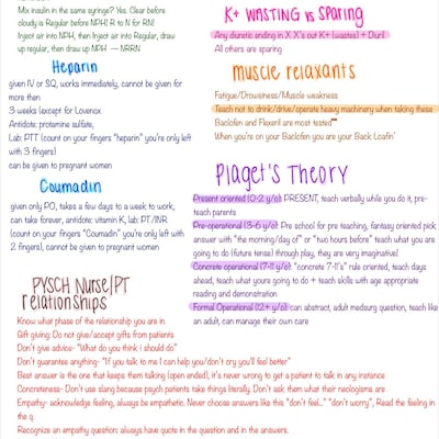 Mark Klimek NCLEX Lectures 1-12 Notes - Etsy