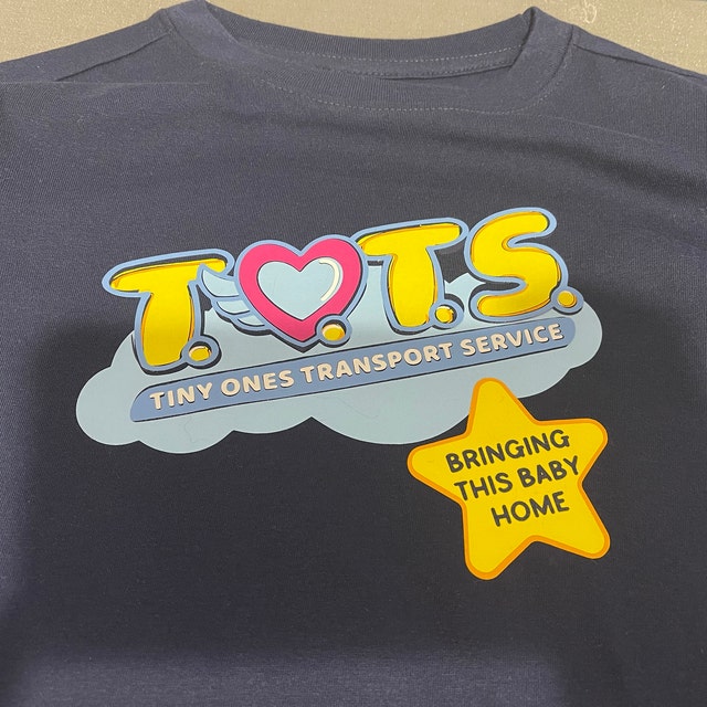 Lion Guard Lion Guard SVG Lion Guard Clipart Lion Guard Cut - Etsy