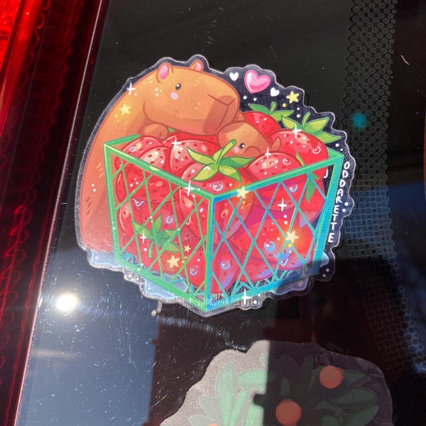 Cursed Boba Stickers Series 1 - Cheese Balls - Mozzarella Pearls ...