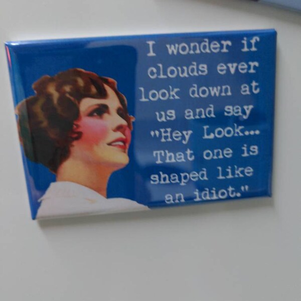 That One is Shaped Like an Idiot FRIDGE MAGNET Humor Funny Meme Wisdom ...