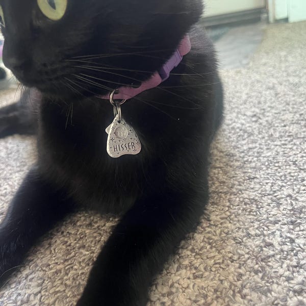 Cemetery Dog Tag - Ghost Dog Tag - Halloween Dog Tag - Crow - Raven ...