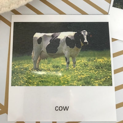 Montessori Musical Instrument Replica 5 Parts Cards Set With Miniatures ...