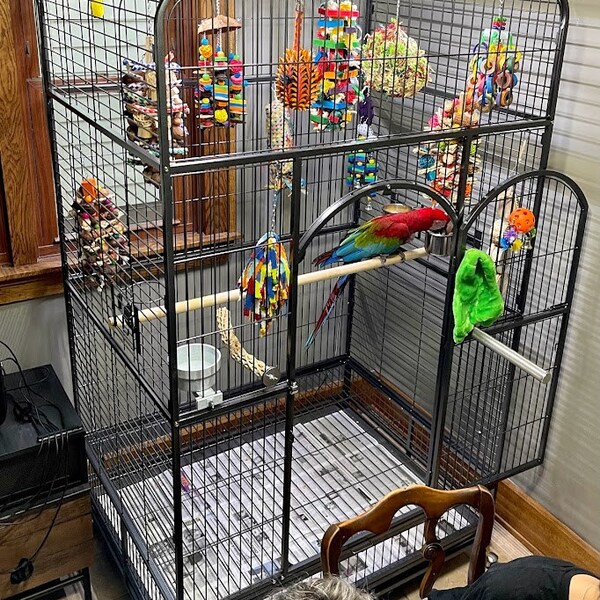 21-22 X-large Macaw Fleece Swing Bird Snuggle Cuddle Ring for Larger ...