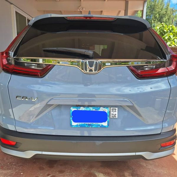 Floral Line Art License Plate Frame - Minimalist Floral License Plate ...