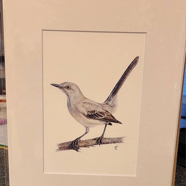 Mockingbird Original Colored Pencil Drawing Reproduction - Etsy