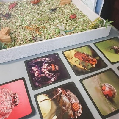 Printable Animal Action & Drama Game for Children Fun Circle Time ...