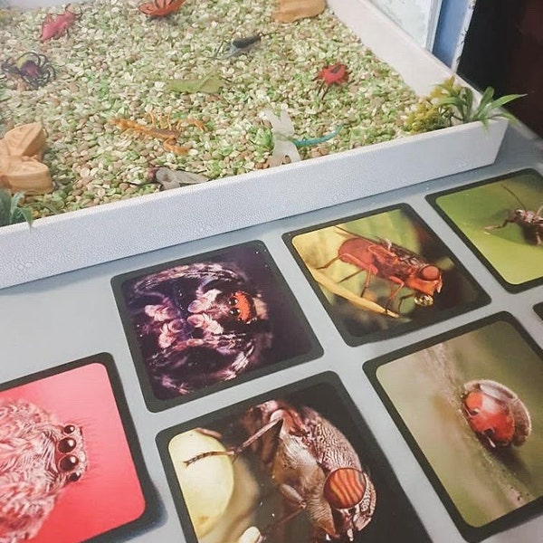 Custom Daycare, Crib & Cot Sheet Labels Editable Bed Sheet Name Tags ...