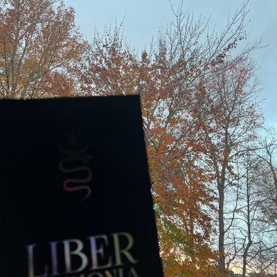 Book liber Khthonia: A Contemporary Witchcraft and Devotional Tradition ...