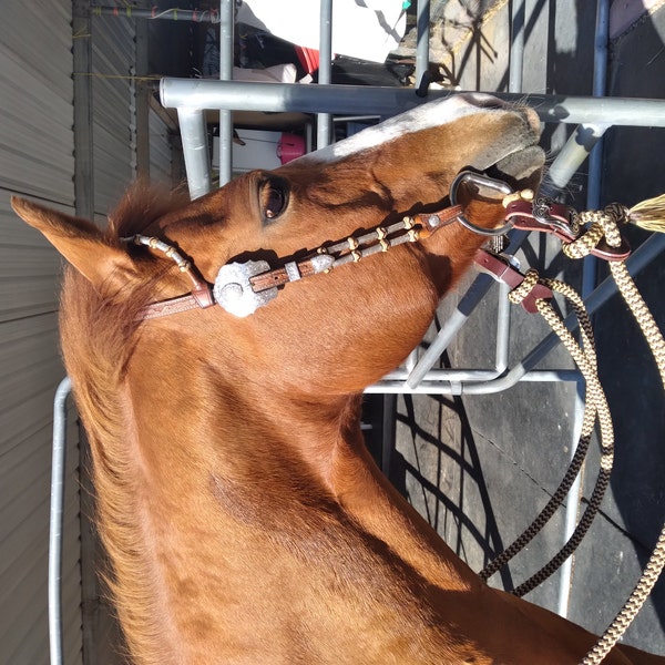 Yacht Rope Sport Mecate Reins W Poppers Use With Slobber Straps Snaffle ...