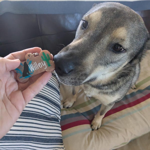 Customize Your OWN Pet Tag - Etsy
