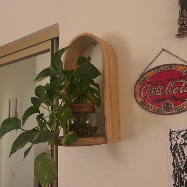 Kokedama Bonsai Ball Hook, Indoor Hanging Planter, Modern Plant Display ...