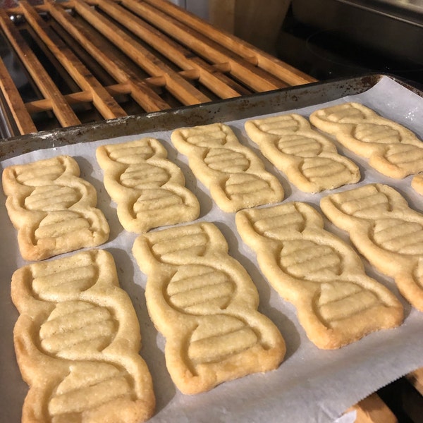 DNA Cookie Cutter L Science Cookie Cutter L Microbiology Cookie Cutter ...