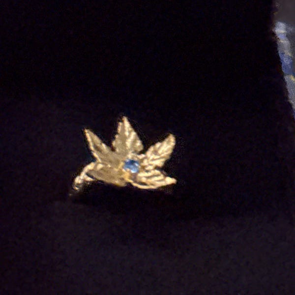 EXCLUSIVE How to Train Your Dragon Silver Ring, Adjustable Toothless ...