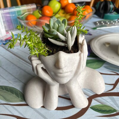 Sea Coral Vase Beach Themed Flower Pot Beautiful Succulent Planter ...