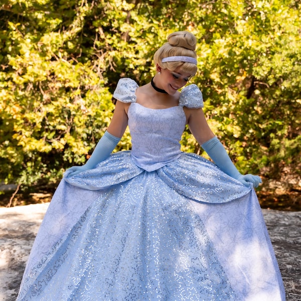 Park Inspired Classic Cinderella Dress Adult Cinderella Cosplay Costume ...
