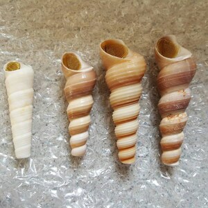 The Purple Nurple by Shellpipe free Pipes With Every Order Shell Pipe ...