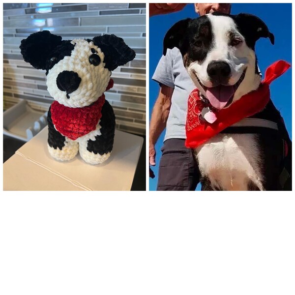 Cute Anime Plushy, Anime Inspired Plush, Cute Plushy, Anime Plush - Etsy