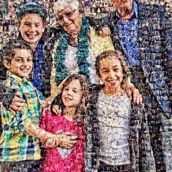 Vincent Van Gogh Starry Night Tabby Cat Framed Wall Art, Optional ...