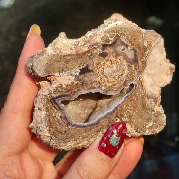 Golden Sard Agate Nodule, Fully Polished, Oregon - Etsy