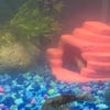 Aquarium Cave Swirl Hideout Betta Fish Tank Decoration Goldfish Decor ...
