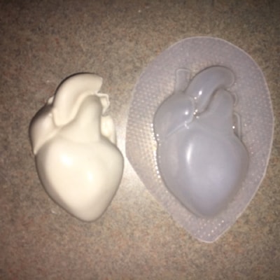 Human Heart Plastic Mold or Silicone Mold, Resin Mold, Heart Mold, Clay ...