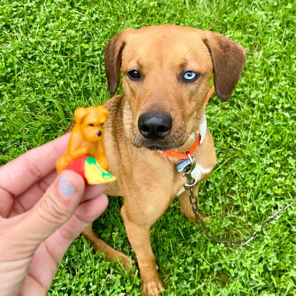Vintage South Park Pin Badges, CHOOSE YOUR OWN, 1998 South Park Enamel ...