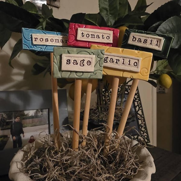 I Will Survive Plant Stake | Funny Plant Signs| Puny Plant Markers ...