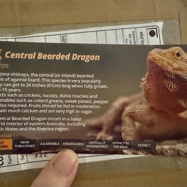 Reptile Enclosure Labels Bearded Dragon Information Sticker - Glossy ...