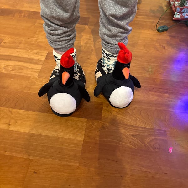 Coddies Blobfish Slippers | Fish Slippers, Funny Gift, Plush Slippers ...