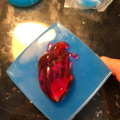 Human Heart Plastic Mold or Silicone Mold Resin Mold Heart - Etsy